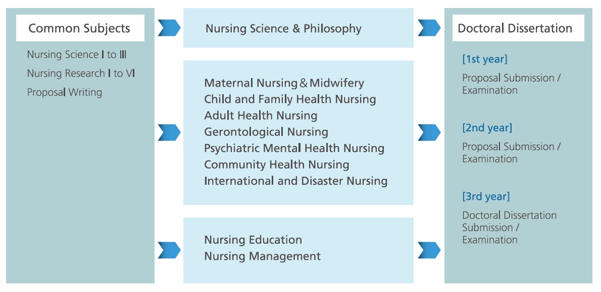Doctoral Program in Nursing | Japanese Red Cross College of Nursing